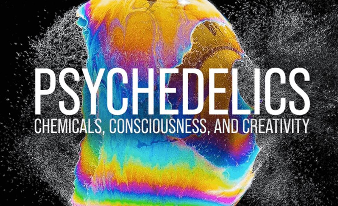 Psychedelics: Chemicals, Consciousness & Creativity (World Science Festival) - SafeJourney